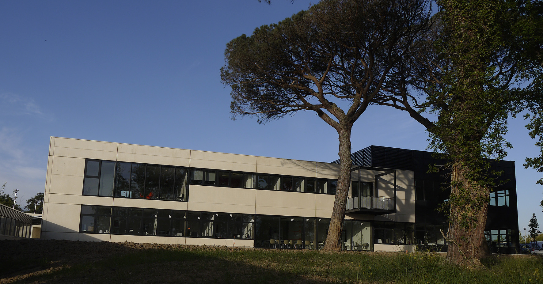 LABORATOIRE D’ANALYSE MÉDICALE ONELAB